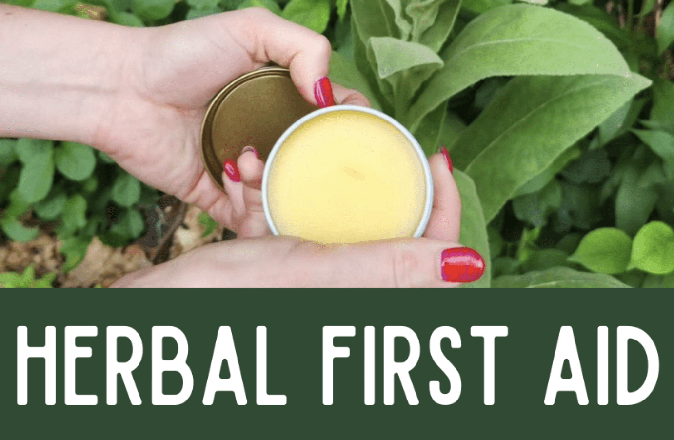 Herbal First Aid - Brunswick Downtown Association